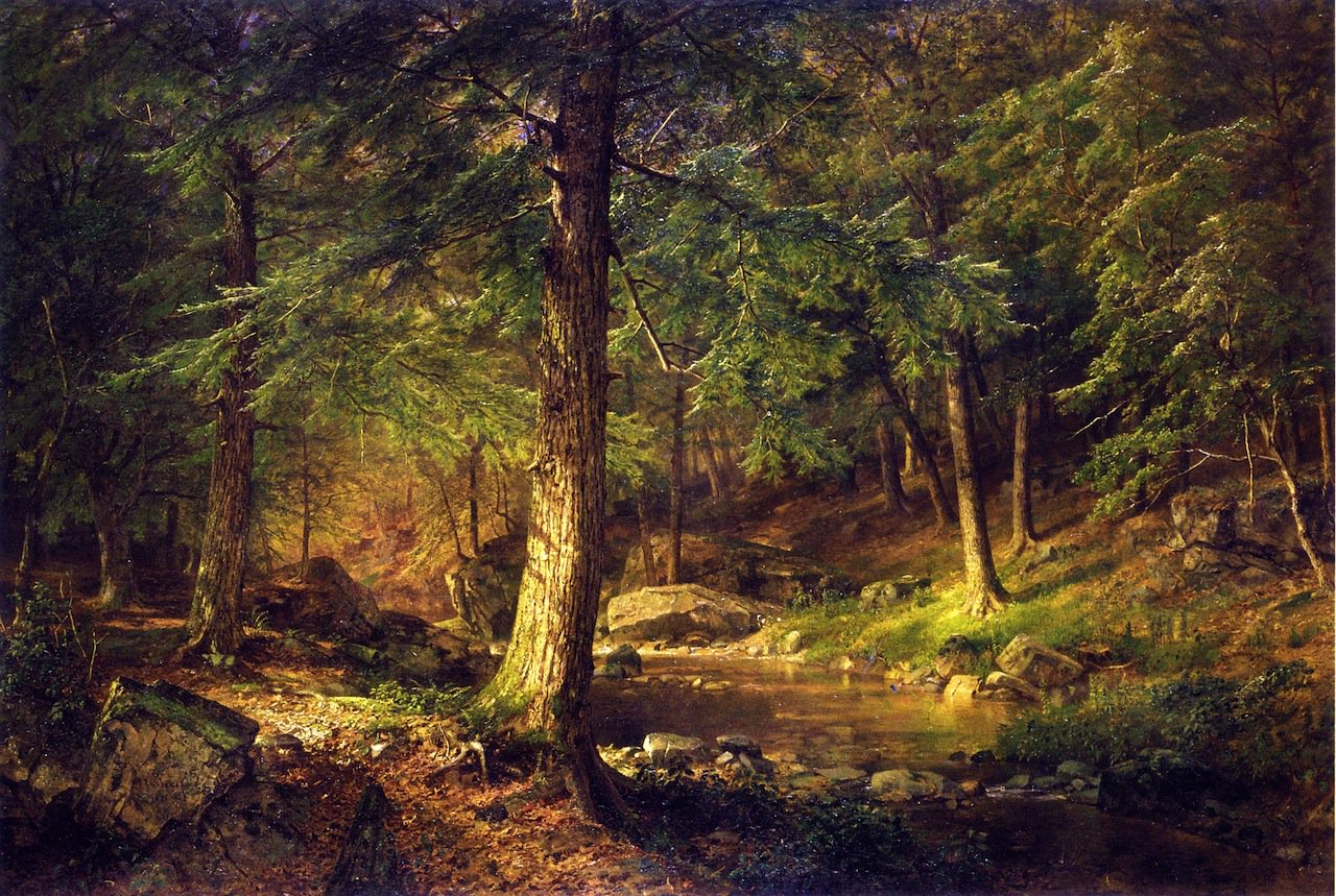 Forest Scene Painting | William Trost Richards Oil Paintings